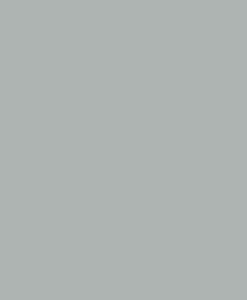 Corian® Solid Surface Silver Birch – Corian® Design Samples