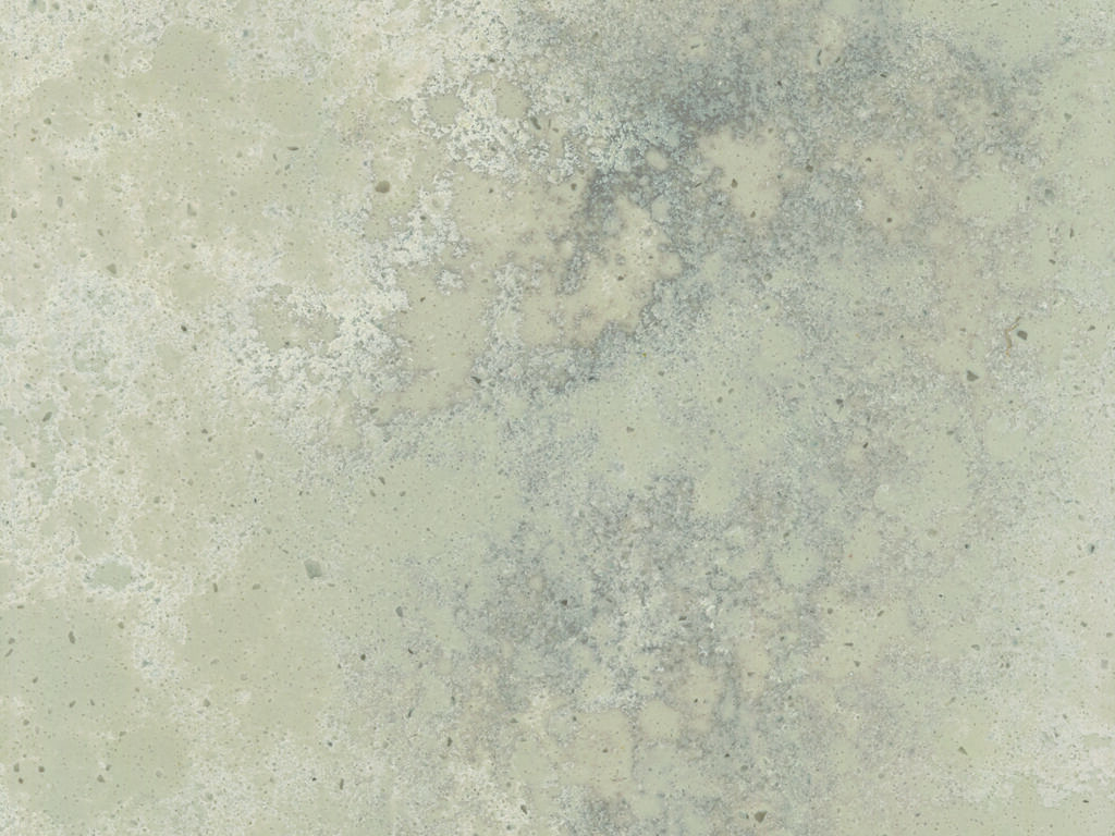 Corian® Quartz Neutral Cement – Corian® Design Samples